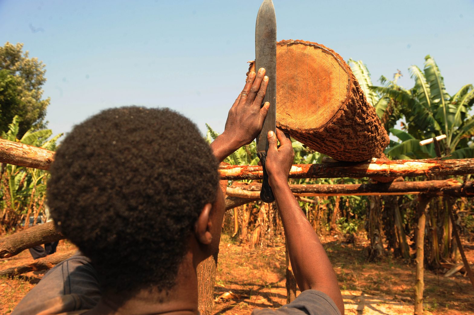 Focus on helping farm labourers' cope with the heat - Agriculture Post