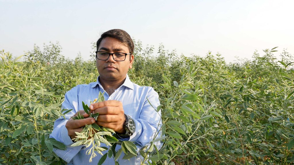 US body honours Indian scientist for genomics & molecular breeding ...