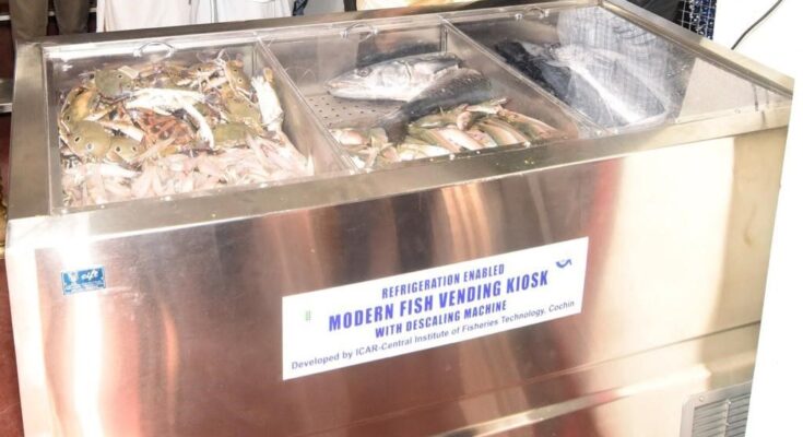 ICAR-CIFT’s Refrigerated Fish Vending Kiosk prompts freshness in fish ...