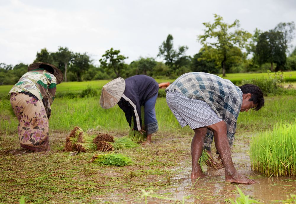 CropLife and Philippines’ Biotechnology Coalition host Pan Asia Farmers ...
