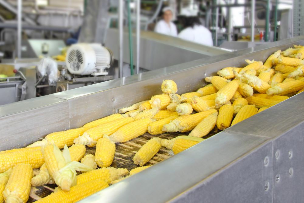 MoFPI issues guidelines for ‘Production linked incentive scheme for ...