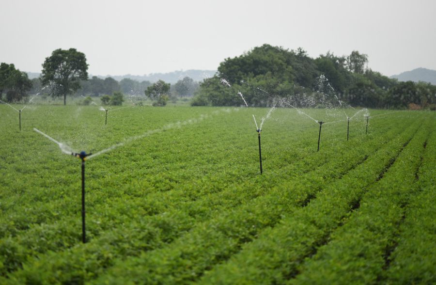 How has been the agri growth and what does Economic Survey 2021-22 say ...