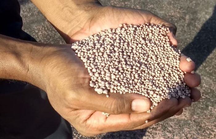 See the subsidy rates Cabinet has approved today for P&K fertilisers ...