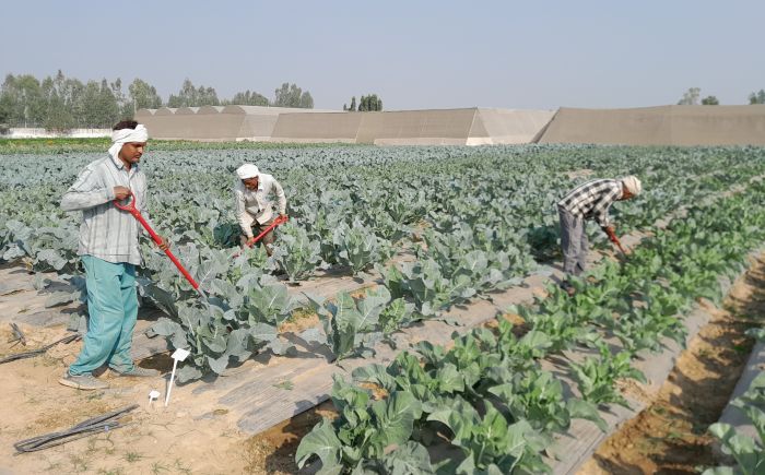 Union Budget 2023: Agriculture sector expects an enabling and future ...