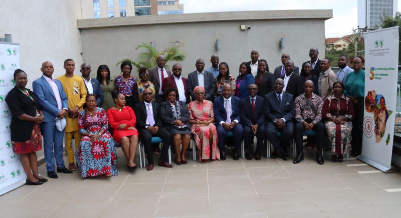 African Development Bank augments ‘Empowering Novel Agri-Business-Led ...